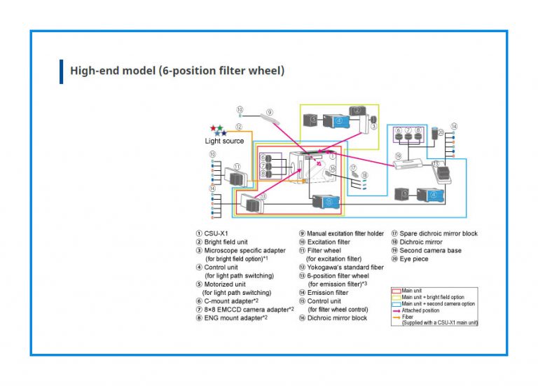 CSU-X1 Spinning Disk Confocal | ImagXcell